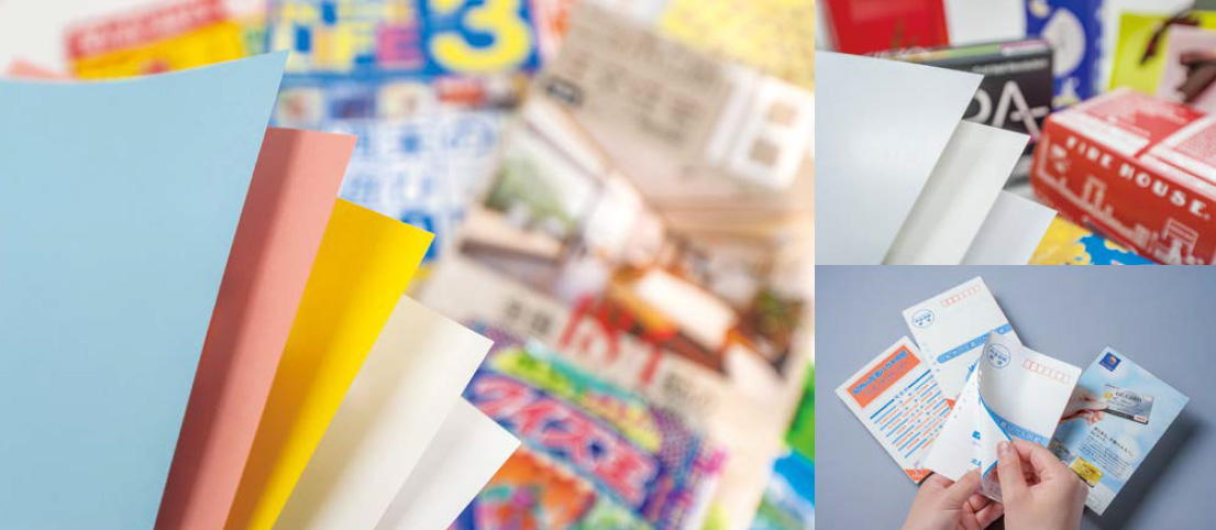 Paper and White Paperboard Business: Hokuetsu Corporation